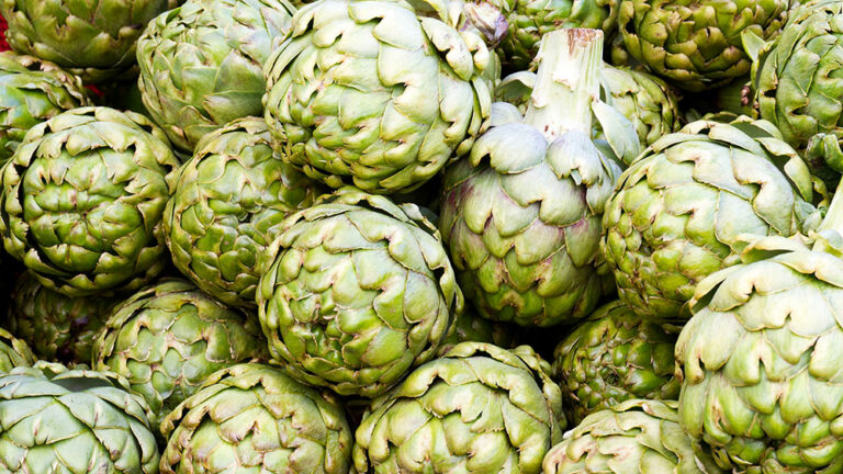 Variedades de alcachofa