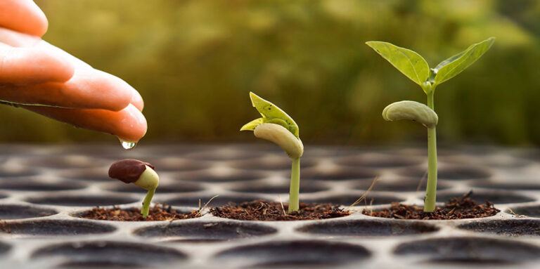 El digestato | El Huerto Urbano