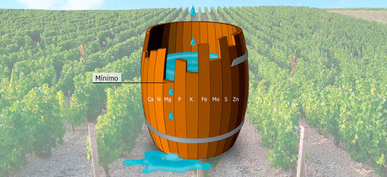 La Ley de Liebig | El Huerto Urbano