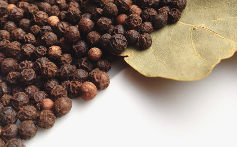 Informe técnico para el cultivo de la pimienta