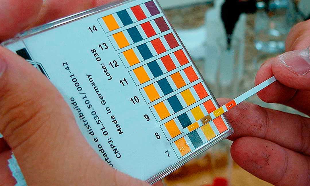 Papel tornasol para medir el ph | El Huerto Urbano